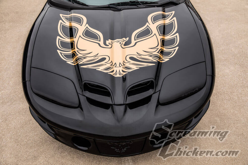 Screaming Chicken – Screaming Chicken